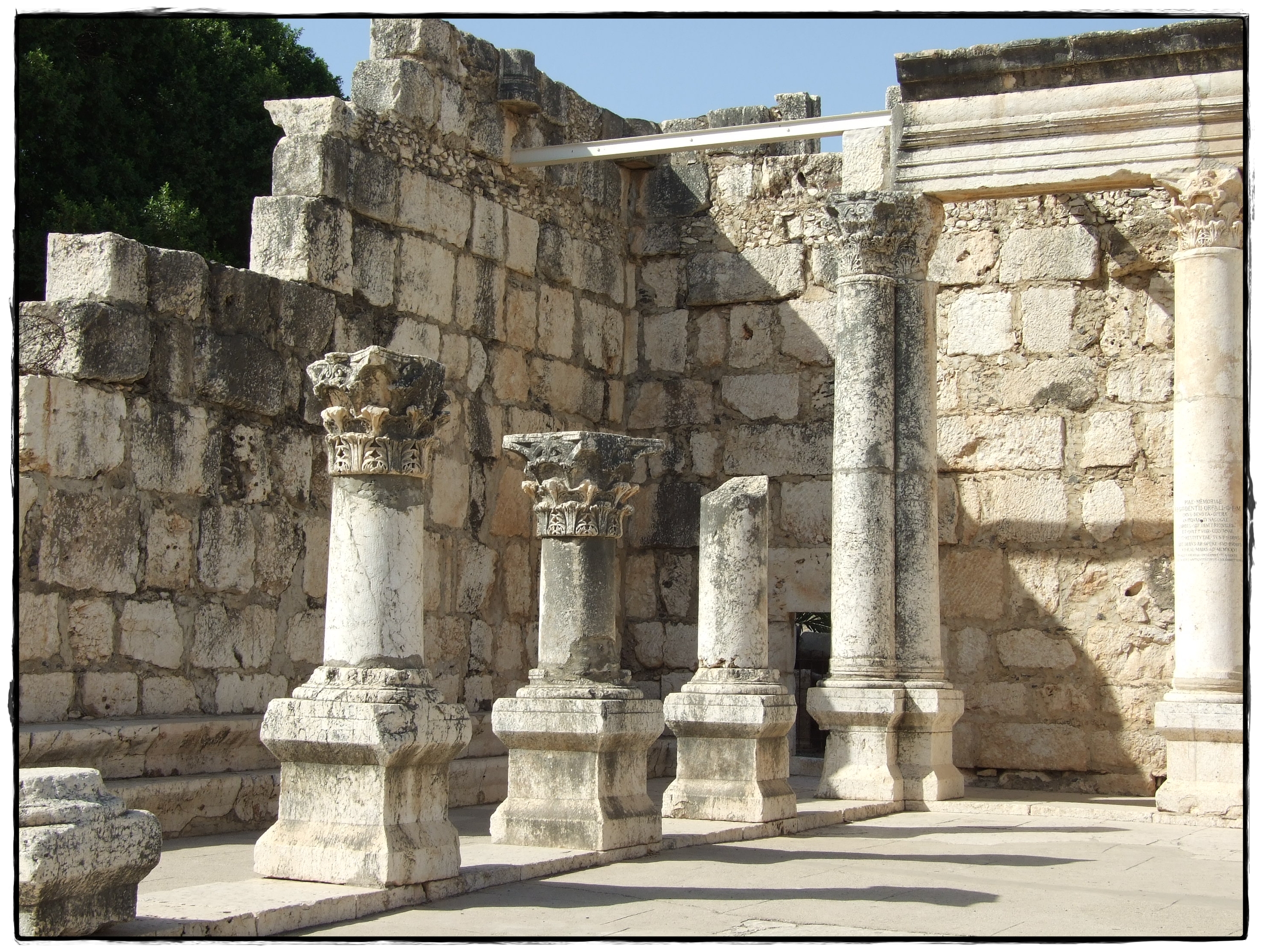 Journey thru John, Chapter 6: Francis’ Passion for the Eucharist – OFS ...